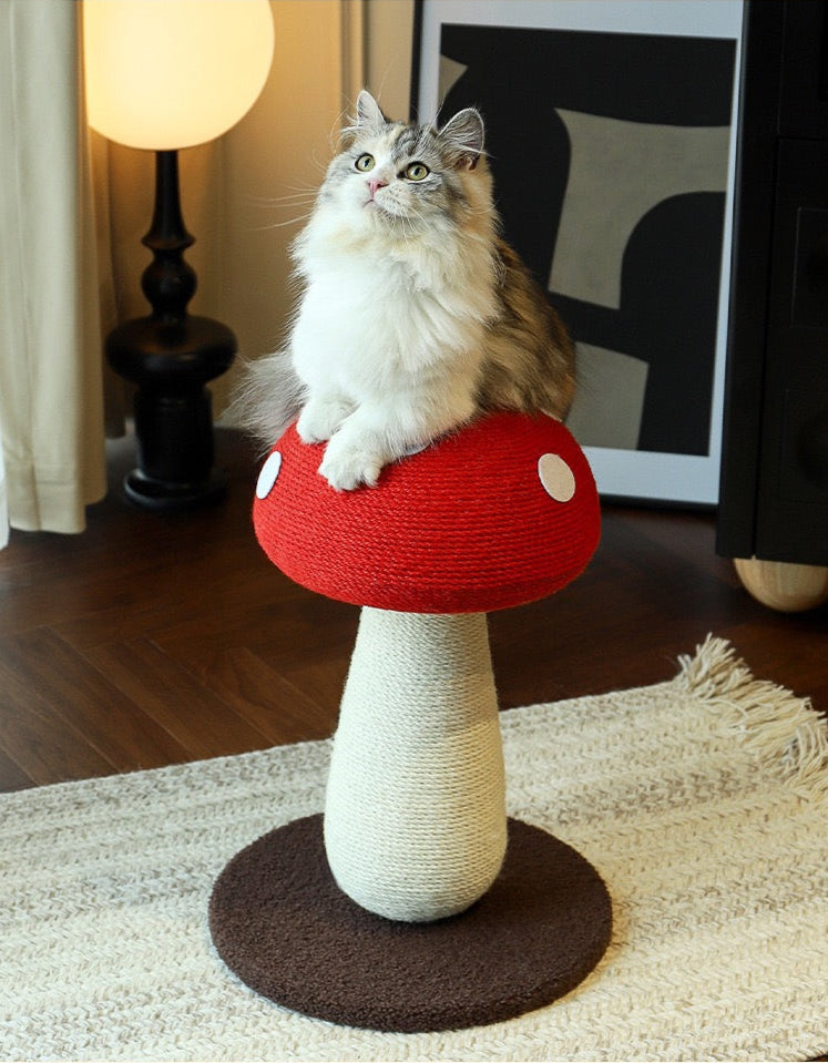 Mushroom Cat Scratching Post Tall – pppet.ca